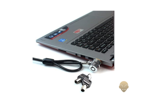 Laptop Security Cable - Rental Mice