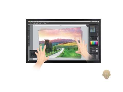 27" - 85" Touch Display - Rental Mice